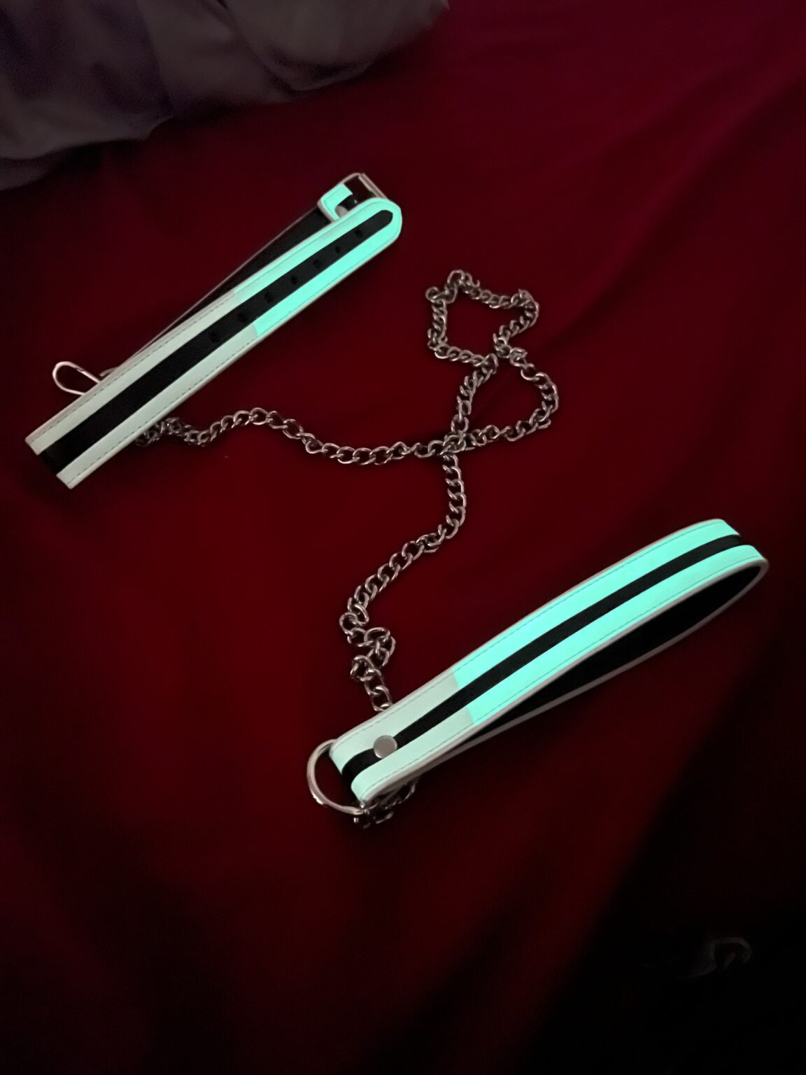 4 Best BDSM Leashes [Actually Tested] - Bedbible.com