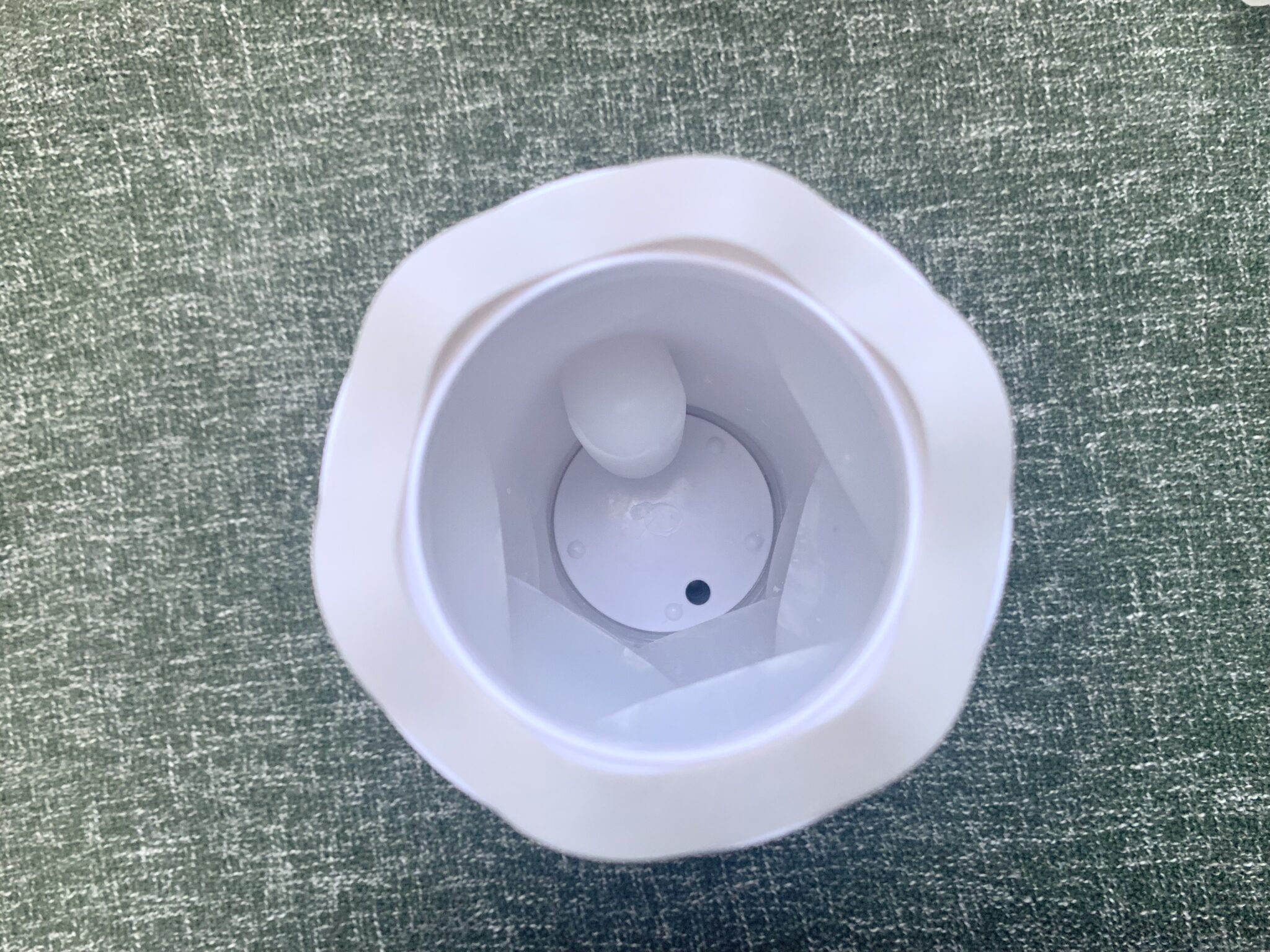 Lovense Max 2 Review [Tried & Tested]