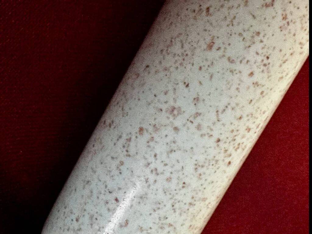 Gaia Eco Rechargeable Bullet Review [Tried & Tested]