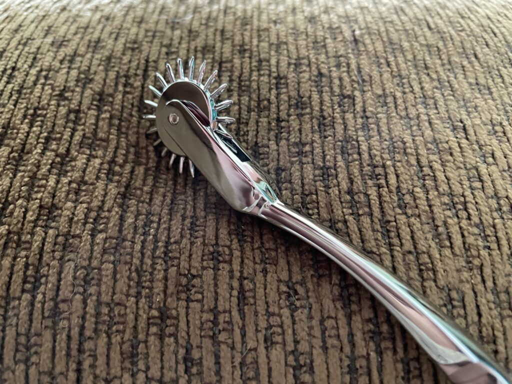 The 3 Best Pinwheels for BDSM [Actually Tested] - Bedbible.com