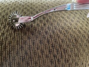 The 3 Best Pinwheels for BDSM [Actually Tested] - Bedbible.com