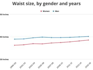 Average Waist Size for Women & Men [Statistics] | Bedbible.com