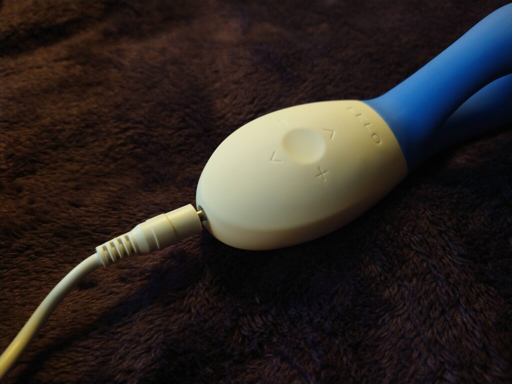 Lelo Ina Wave 2 Review [Tried & Tested]