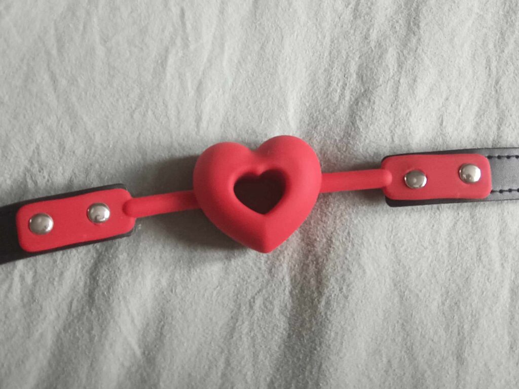 5 Best Ball Gags [Actually Tested] - Bedbible.com