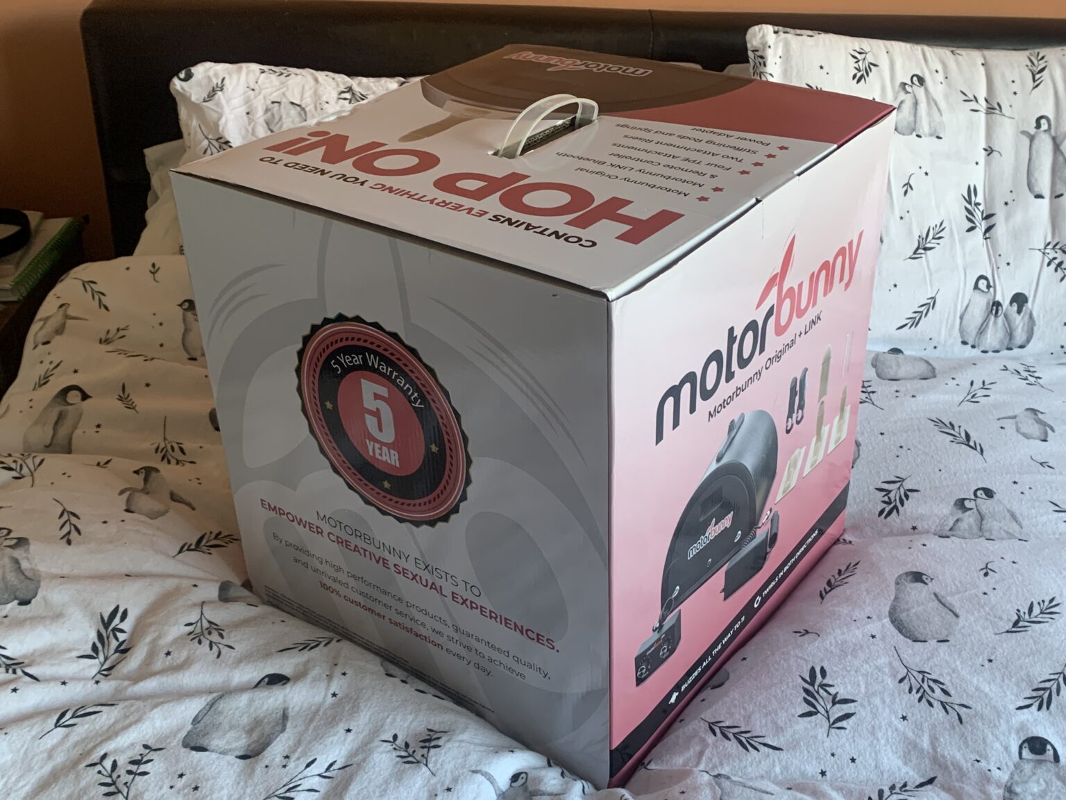 Motorbunny Original Starter Kit Review [Tried & Tested]
