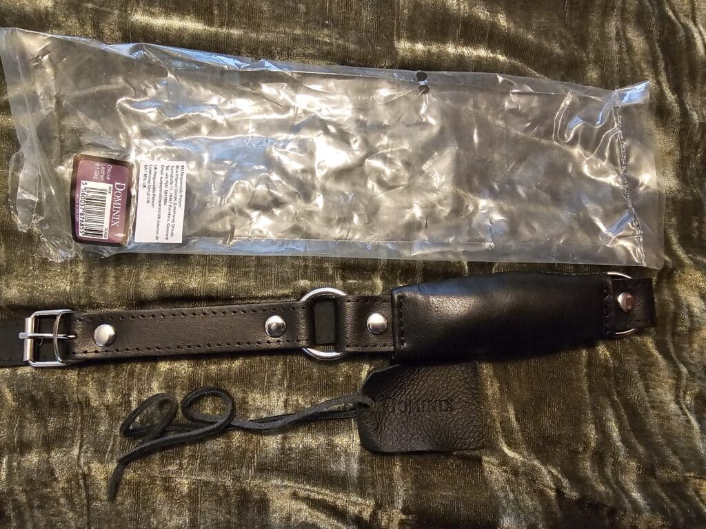 DOMINIX Deluxe Leather Bit Gag Review [Tried & Tested]