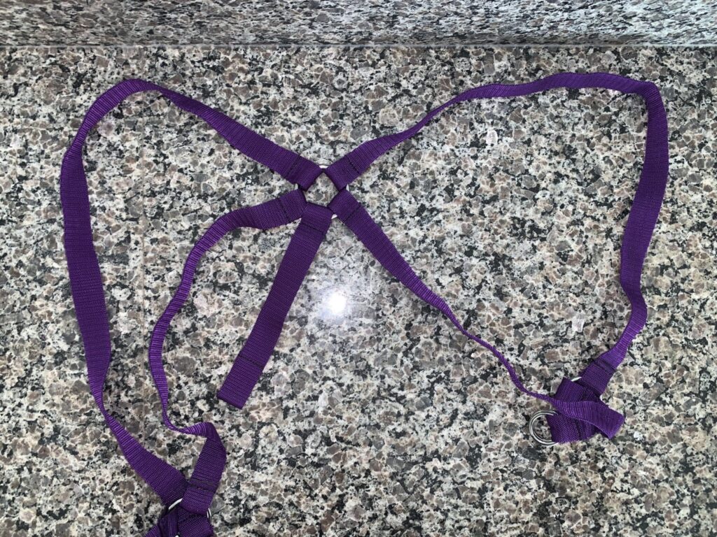 Purple Reins Body Harness with Wrist and Thigh Restraint Review [Tried ...