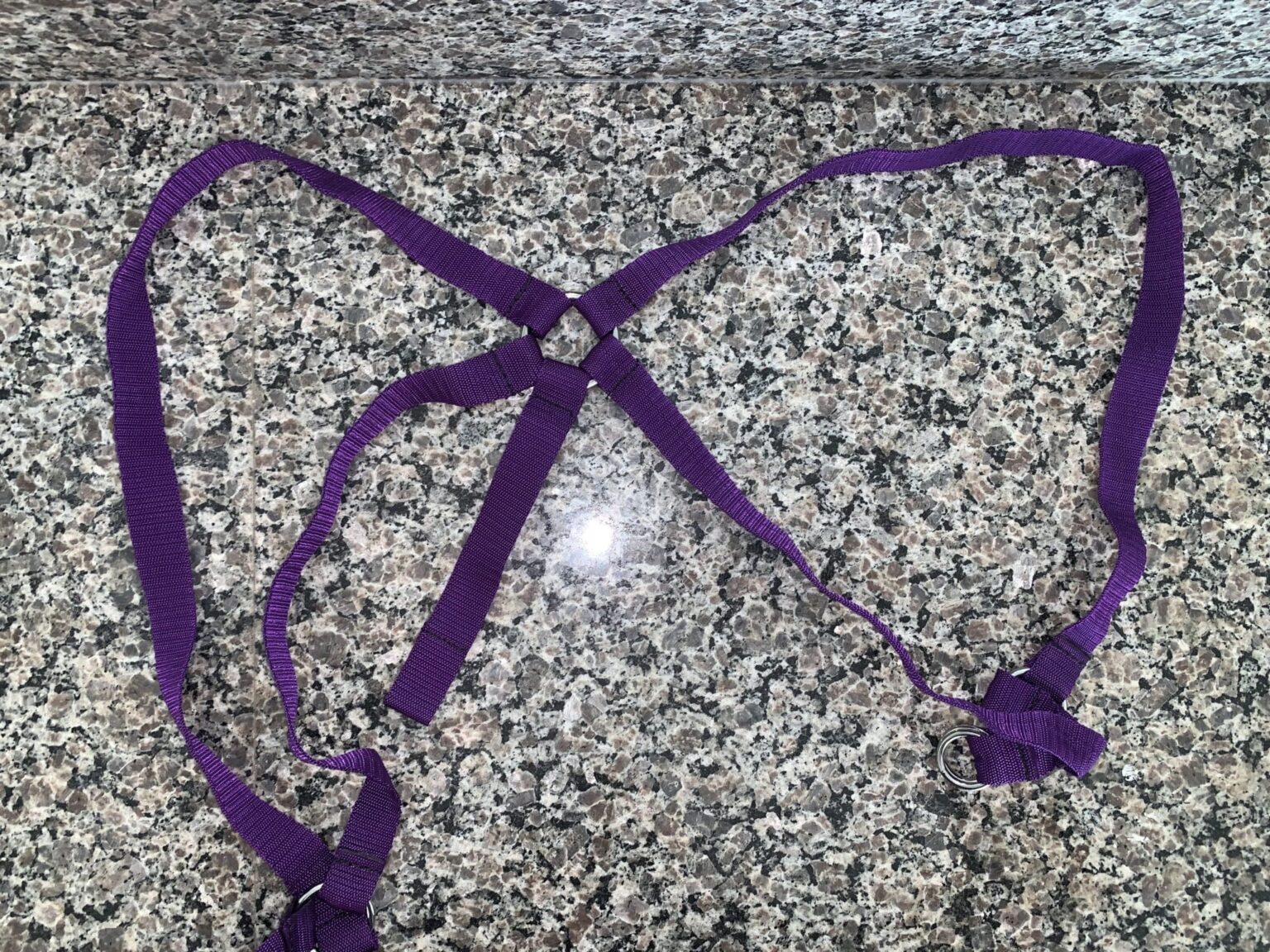 Purple Reins Body Harness with Wrist and Thigh Restraint Review [Tried ...
