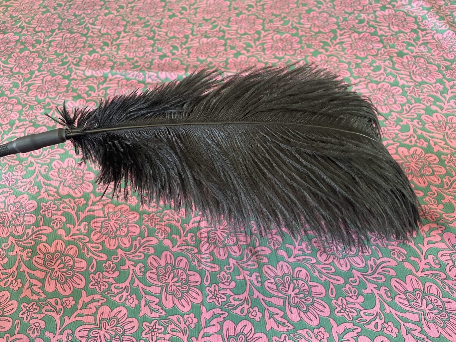 Bondage Boutique Luxury Ostrich Feather Tickler Review [Tried & Tested]