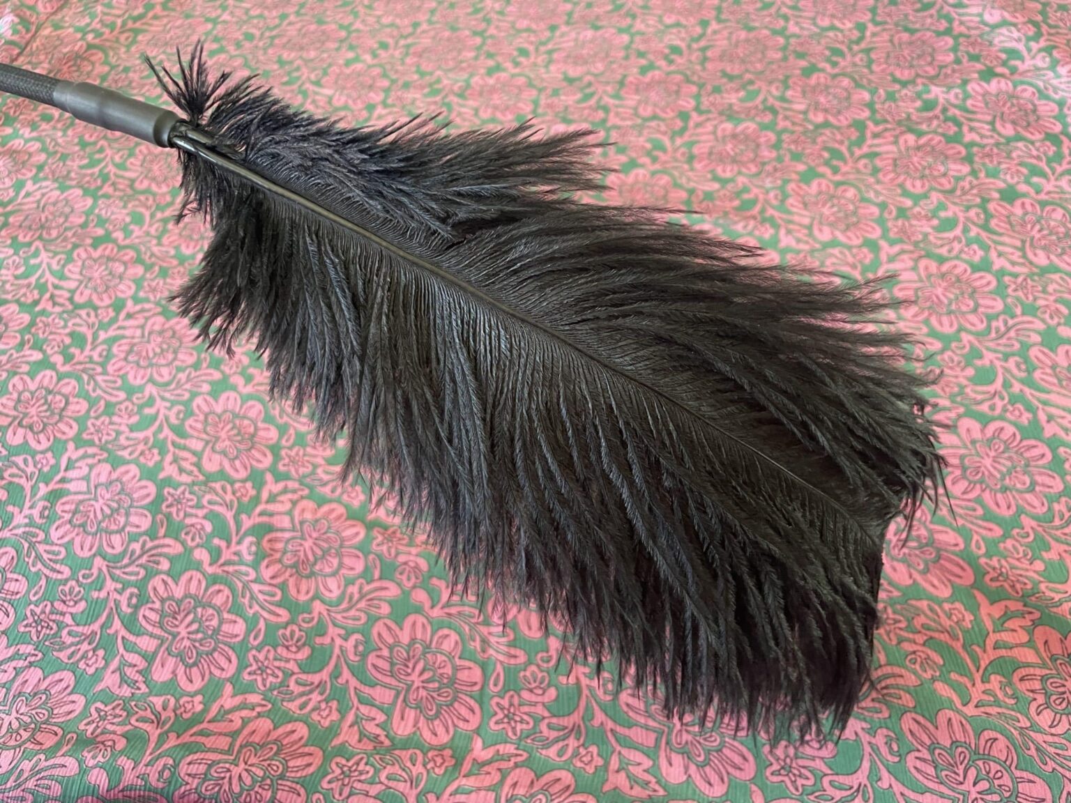 Bondage Boutique Luxury Ostrich Feather Tickler Review [Tried & Tested]