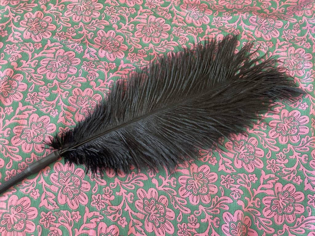 Bondage Boutique Luxury Ostrich Feather Tickler Review [Tried & Tested]