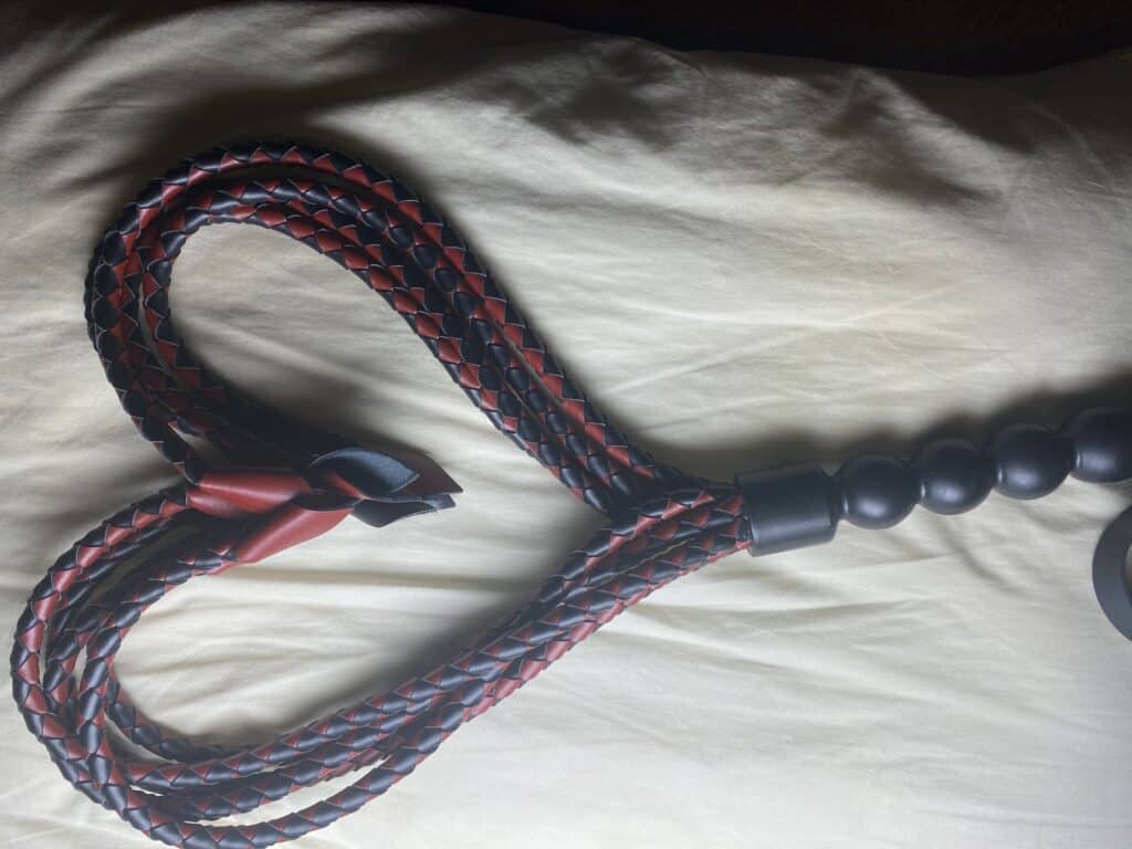 Sportsheets Saffron Braided Flogger Review [Tried & Tested]