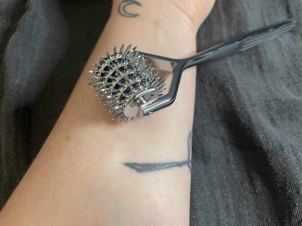 DOMINIX Deluxe 5 Row Stainless Steel Wartenberg Pinwheel Review [Tried ...