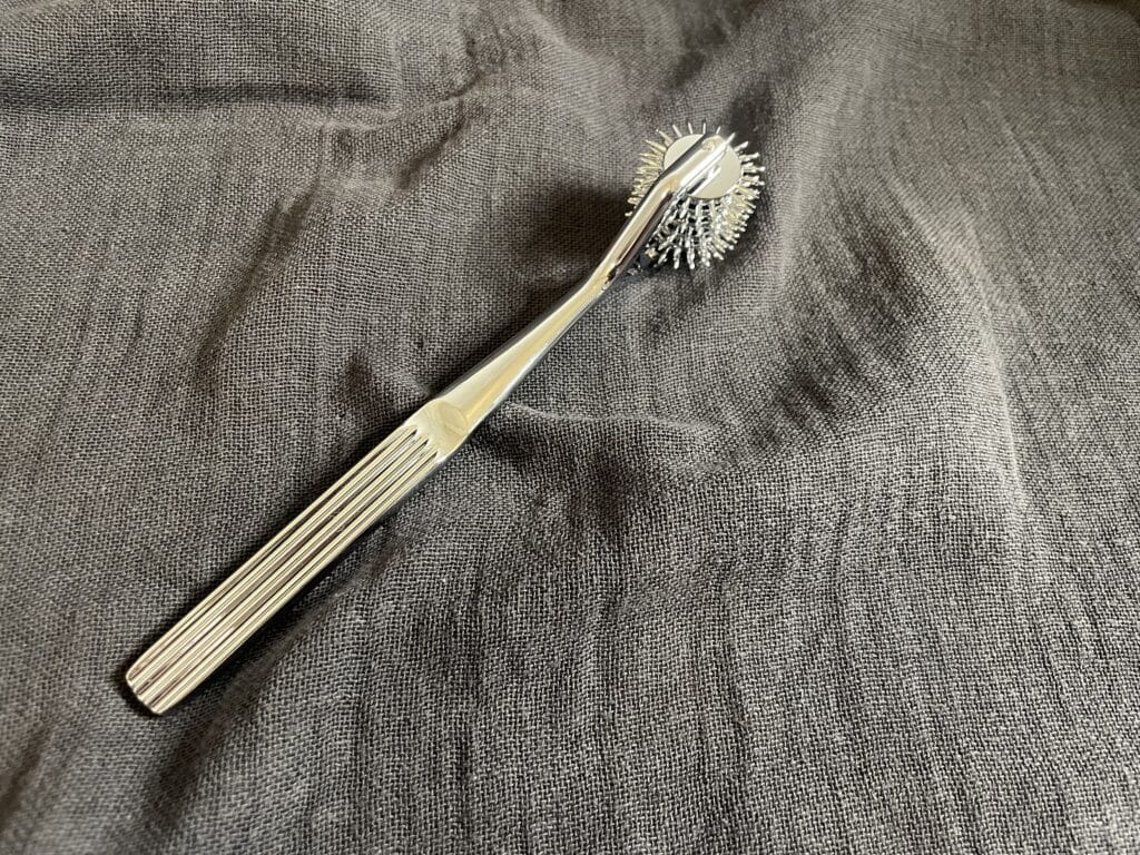 DOMINIX Deluxe 5 Row Stainless Steel Wartenberg Pinwheel Review [Tried ...