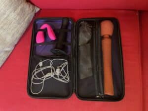 3 Best Sex Toy Storage Boxes [Actually Tested] - Bedbible.com